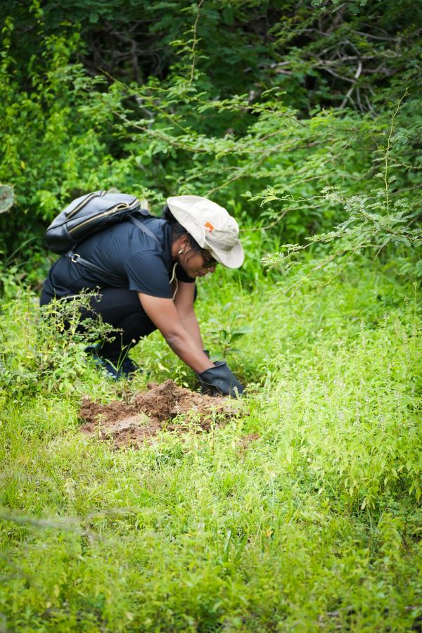 EFL Global Shipping and Logistics Services | EFL