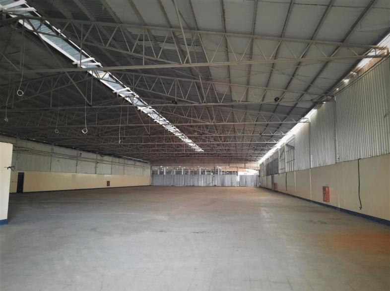 EFL Global Opens New Facility in Nicaragua | EFL
